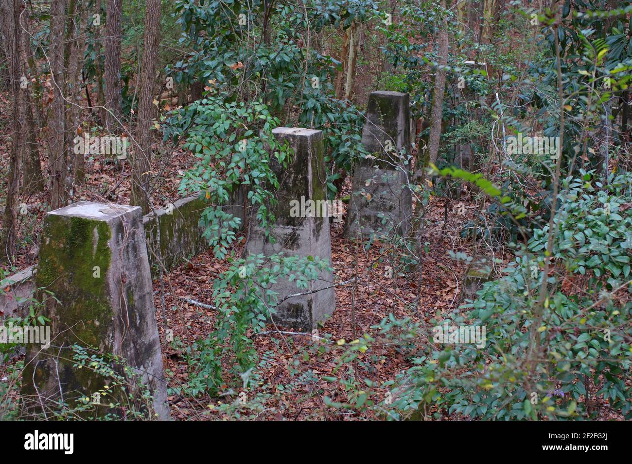 Moss covered old concrete columns in the forest from ancient times ...