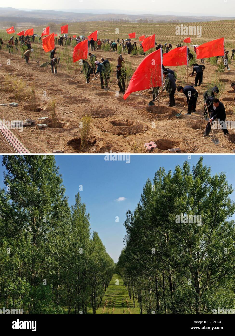 Tree planting combination hi-res stock photography and images - Alamy