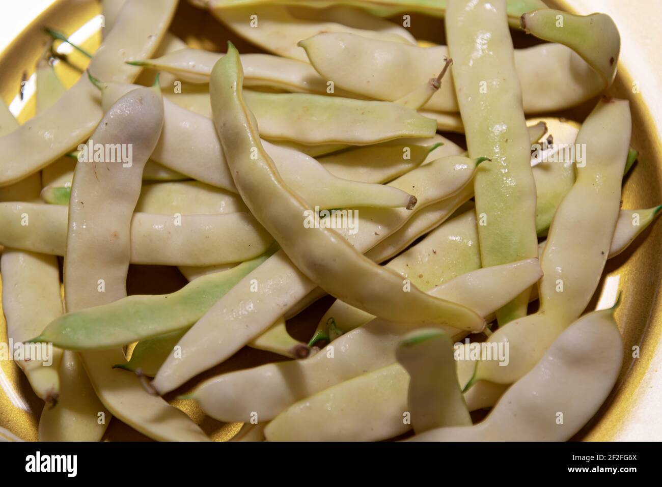 Pod bean vegetable salad. Pods of Phaseolus vulgaris L.. Fresh food ...