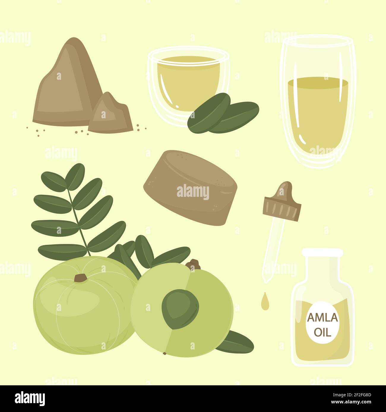 Organic flat design amla fruit elements Vector illustration Stock ...