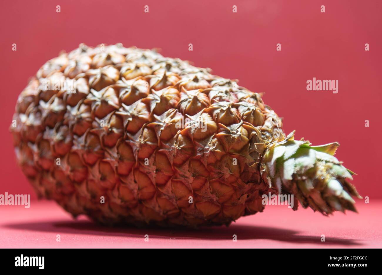 Fresh pineapple fruit. Pineapple on the red background. Exotic fruit ...