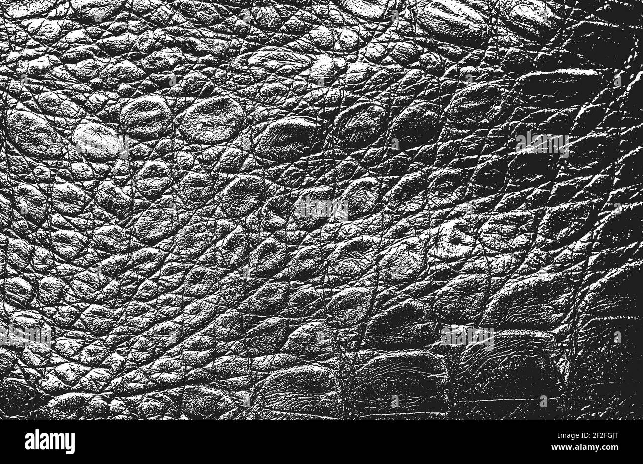 Distressed overlay texture of crocodile or snake skin leather, grunge ...
