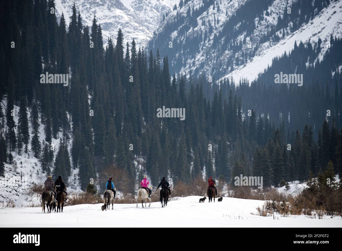 Winter Horse Trekking in the Karakol Valley of Kyrgyzstan Stock Photo ...