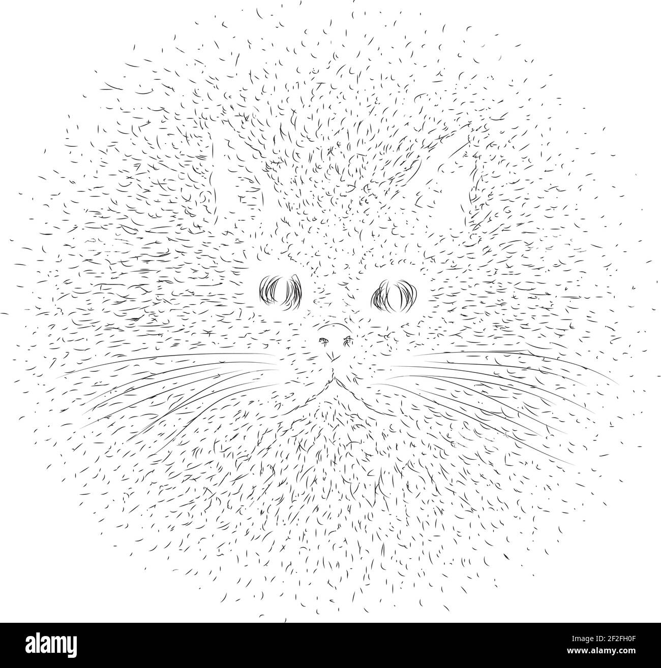 vector drawing of a cat Stock Vector Image & Art - Alamy