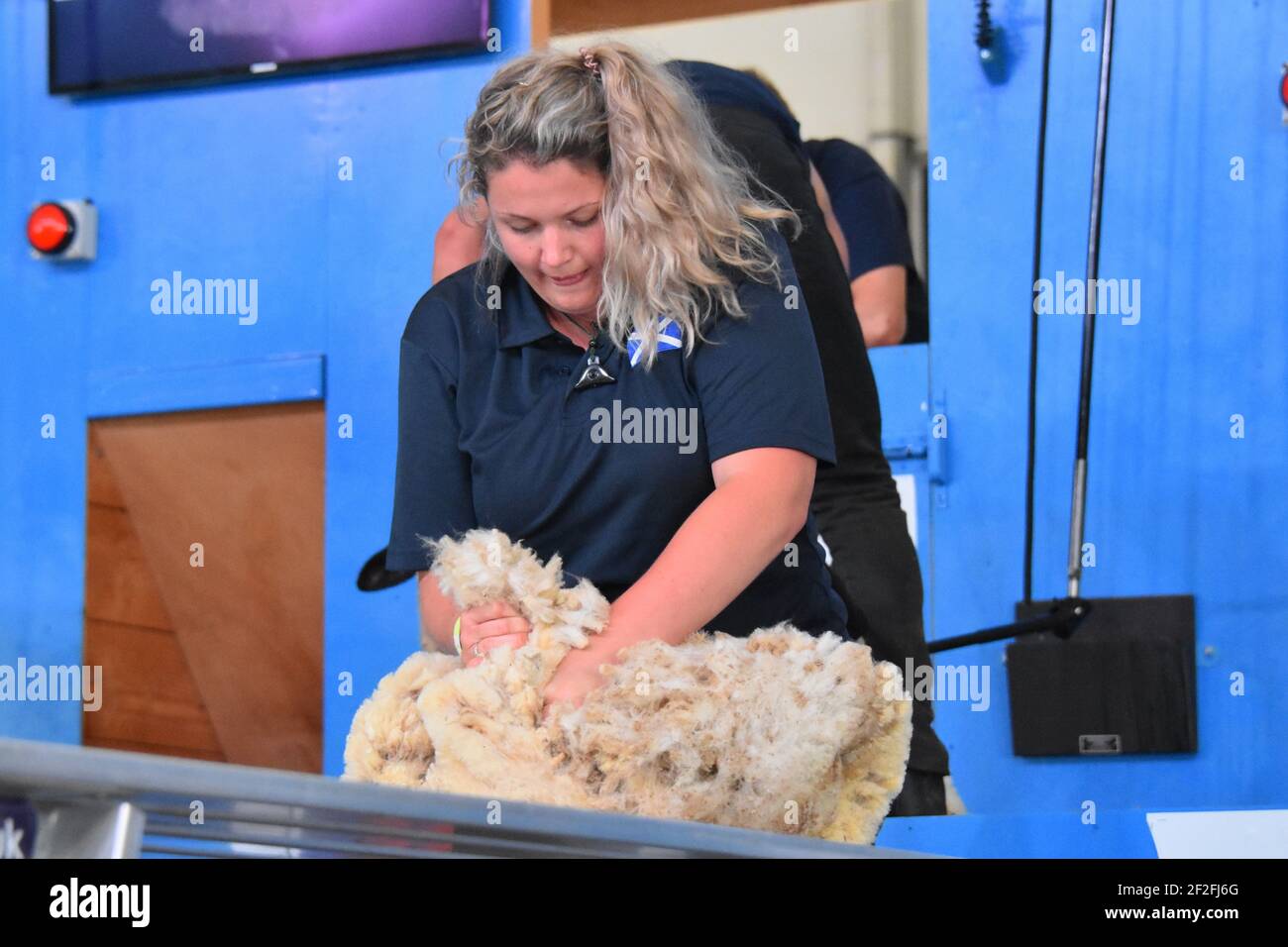 Audrey Lamb High Resolution Stock Photography and Images - Alamy
