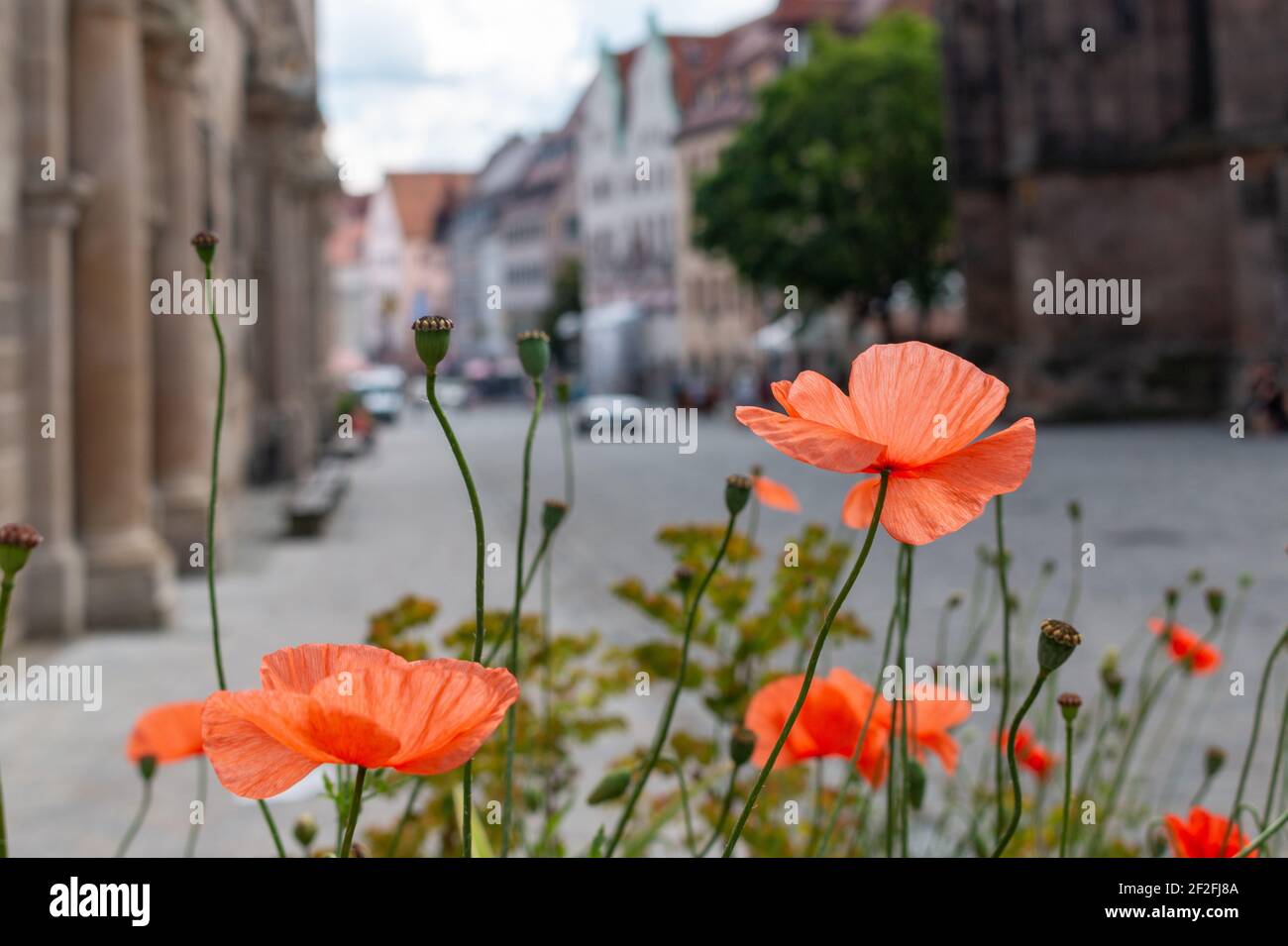 Orange germany hi-res stock photography and images - Alamy