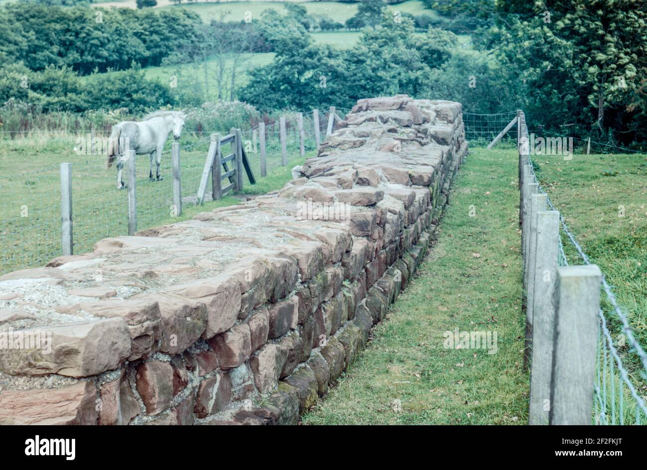 Remains of a Roman defensive fortification known as Hadrian’s Wall ...
