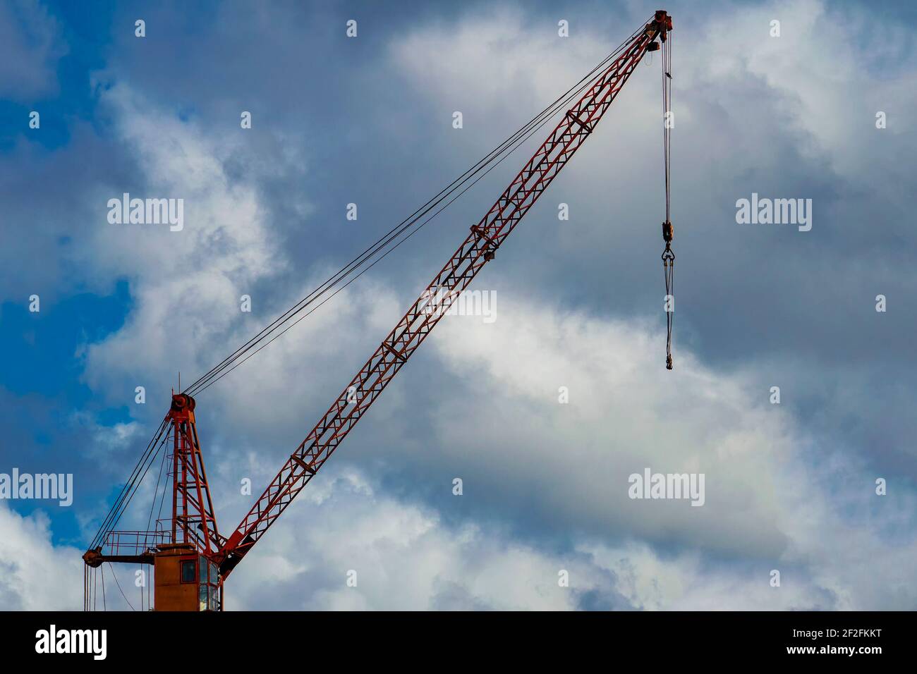 Limping goat hi-res stock photography and images - Alamy