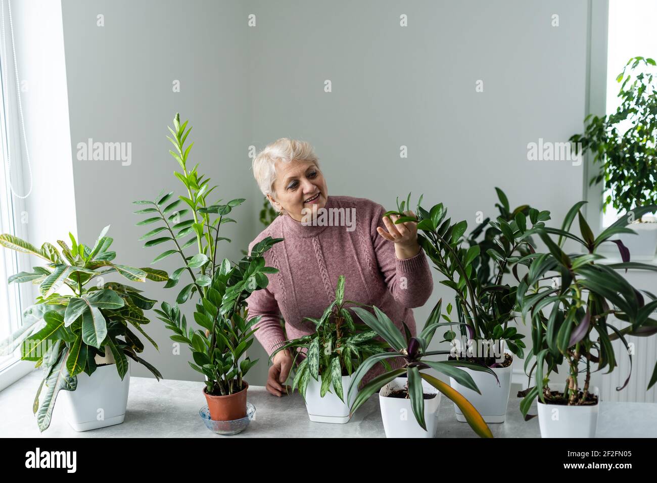 Gardener occupation loving nature hi-res stock photography and images ...