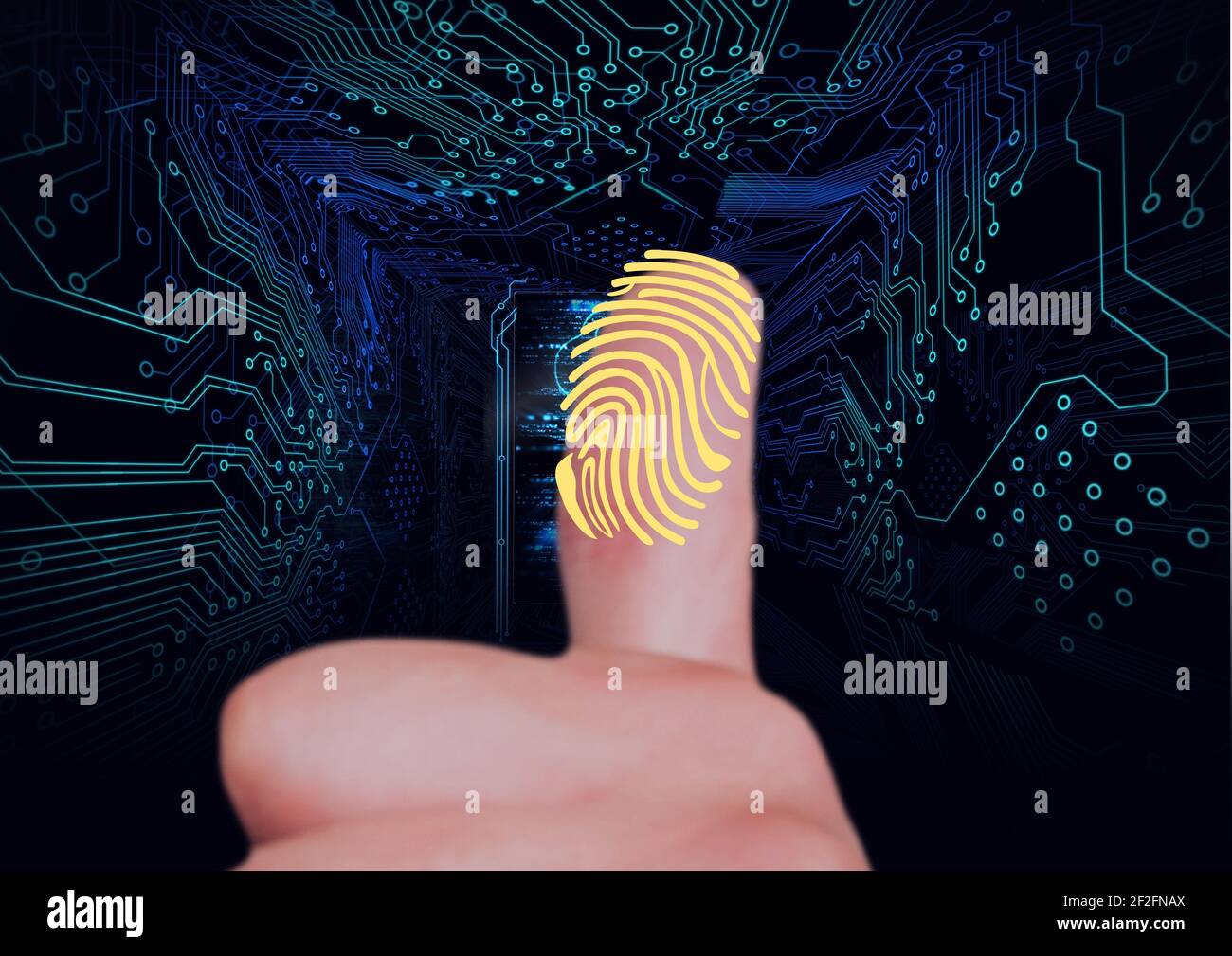Human Thumb Scanning Over Biometric Scanner Against Microprocessor Connections On Blue
