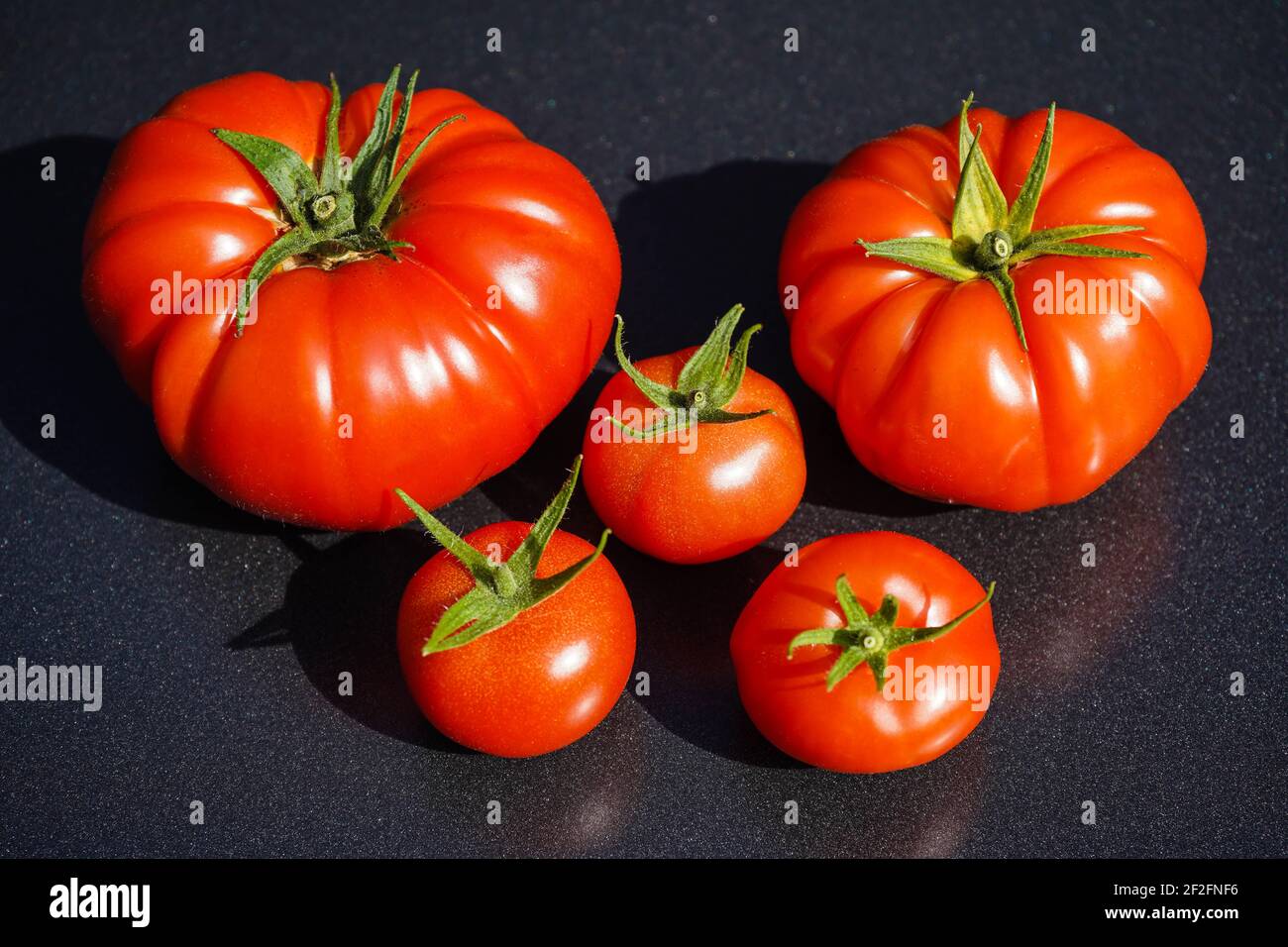 red round Tomatoes Solanum Lycopersicum for a salad or a soup Stock ...