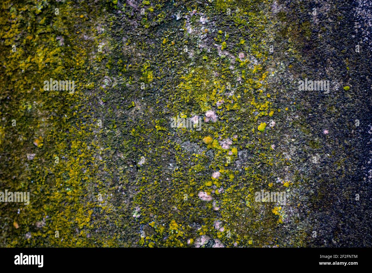 Hd background hi-res stock photography and images - Alamy