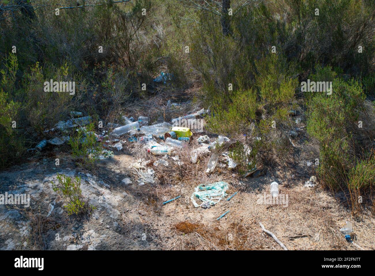 Garbage dump in woods environmental hi-res stock photography and images ...