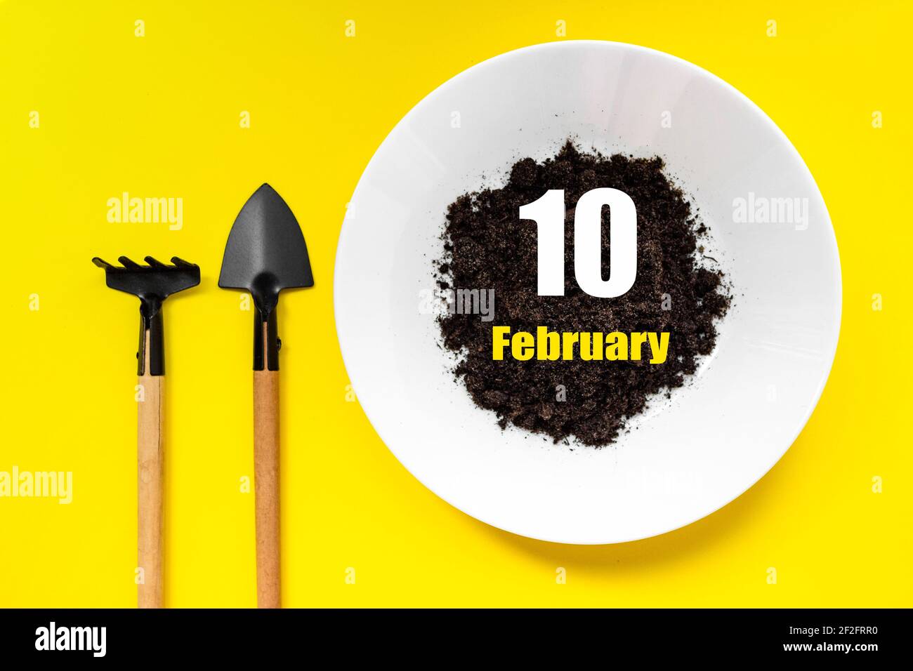 February 10th. Day 10 of month, Calendar date. White plate of soil with ...