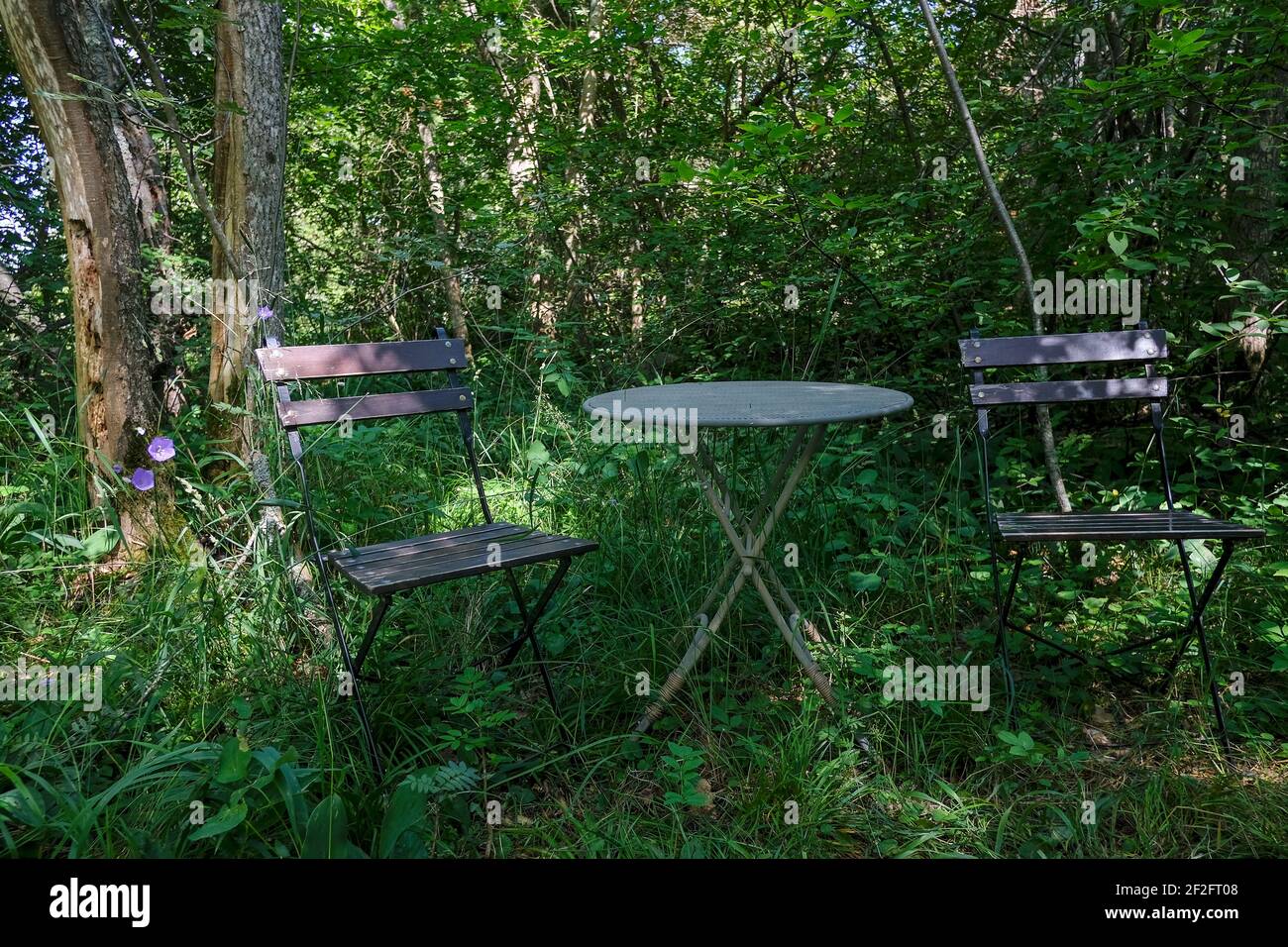 Chairs in nature hi-res stock photography and images - Alamy