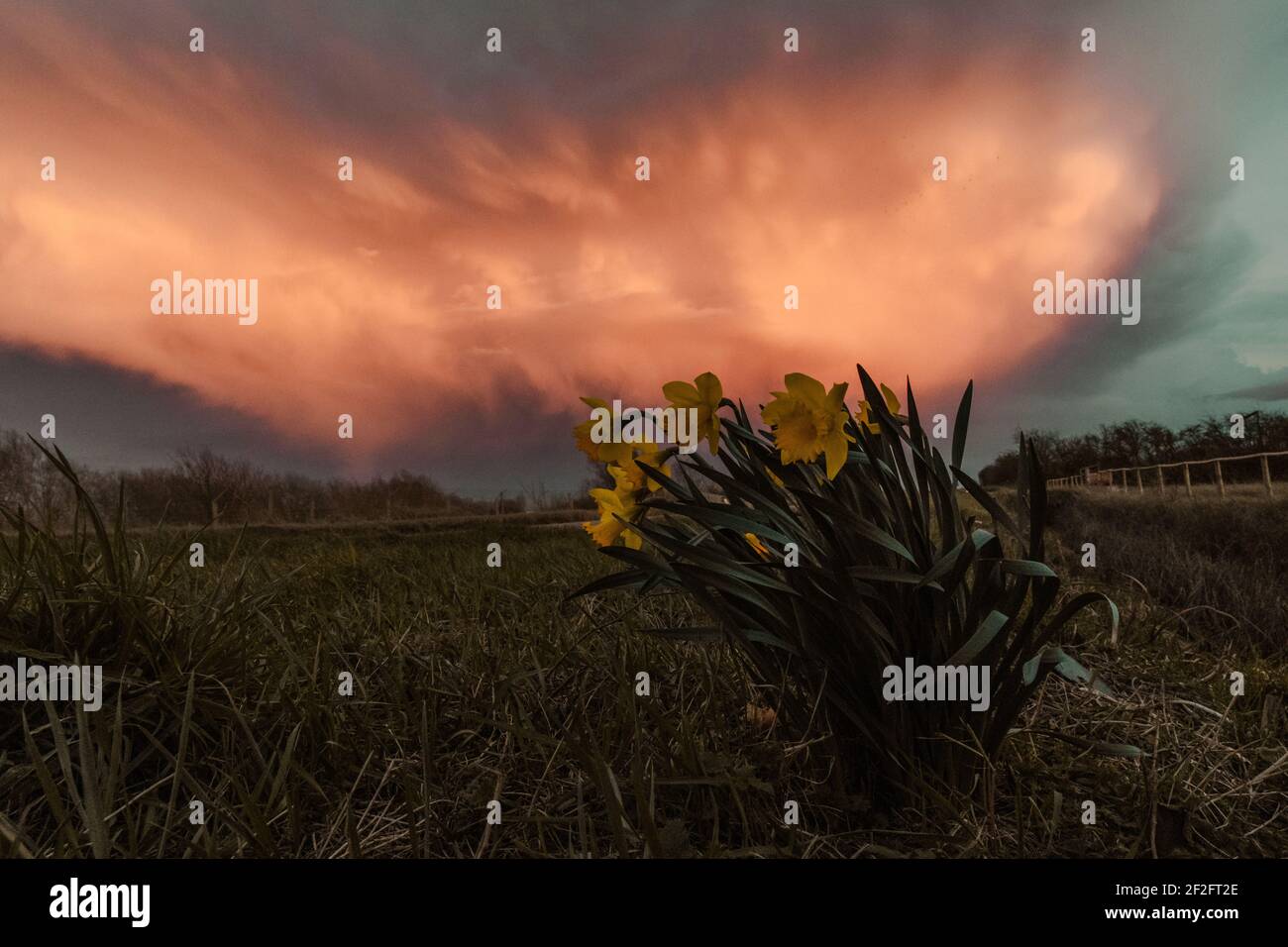 Angry sunset hi-res stock photography and images - Alamy