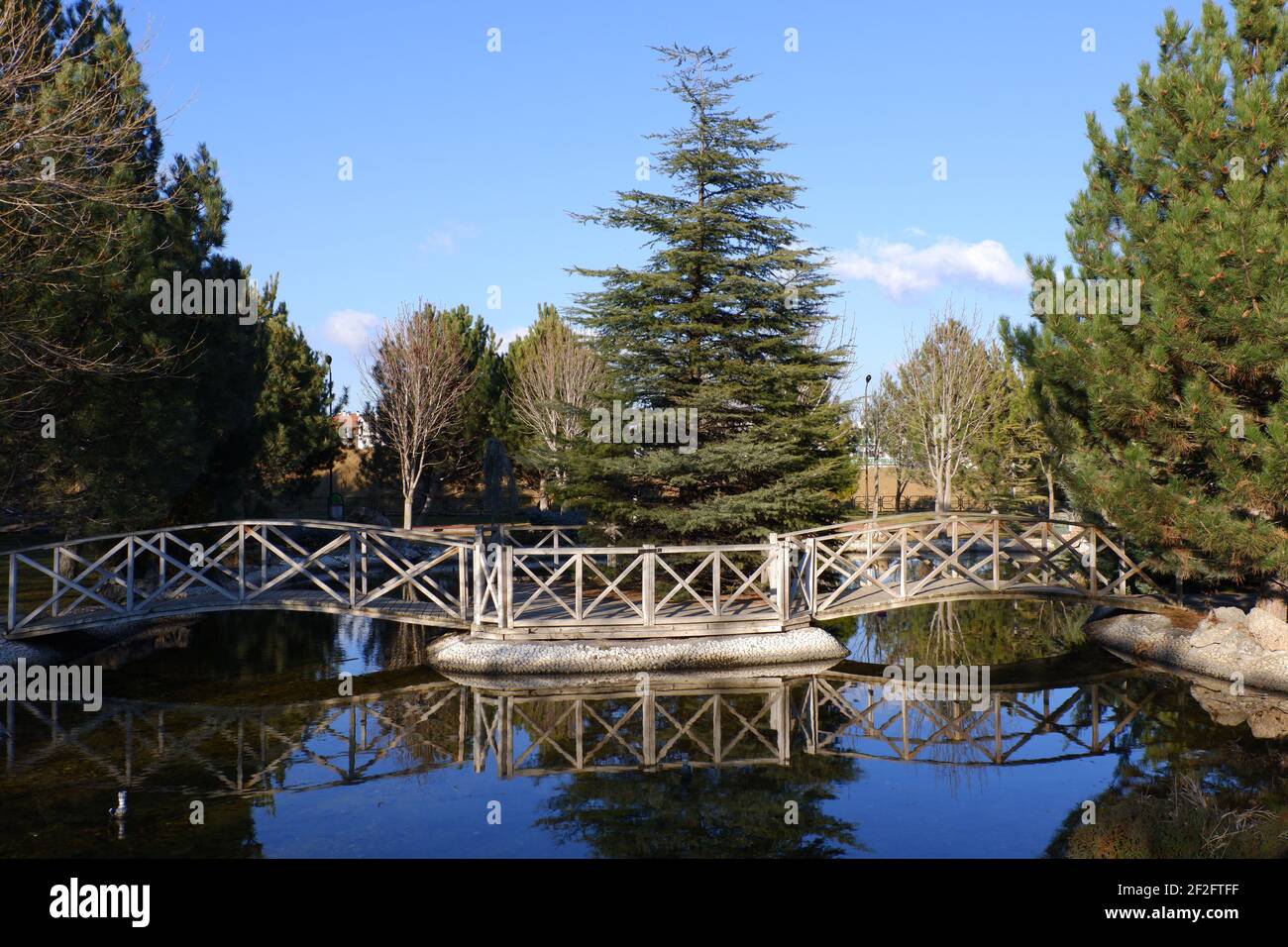 Tree trees bridge hi-res stock photography and images - Alamy