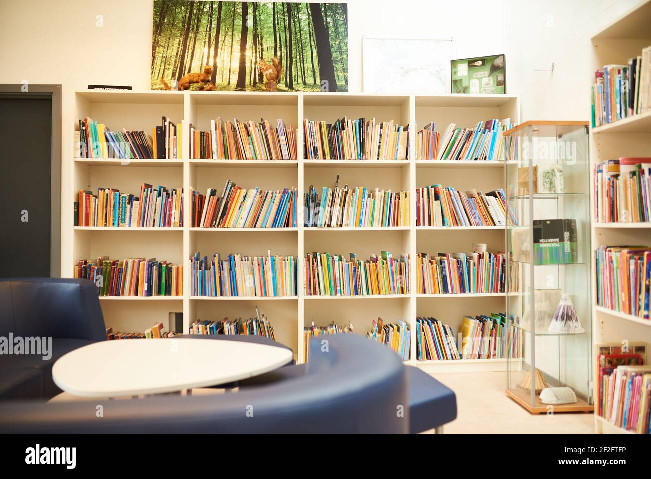A book shelf at a school library Stock Photo - Alamy