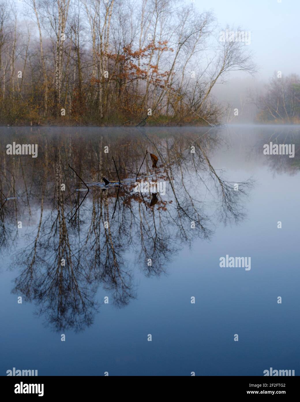Mist over the forest hi-res stock photography and images - Alamy