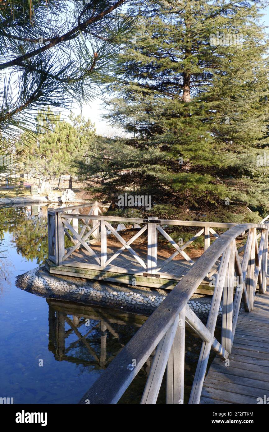 Small Wooden Bridge over River within Pine Trees Stock Photo - Alamy