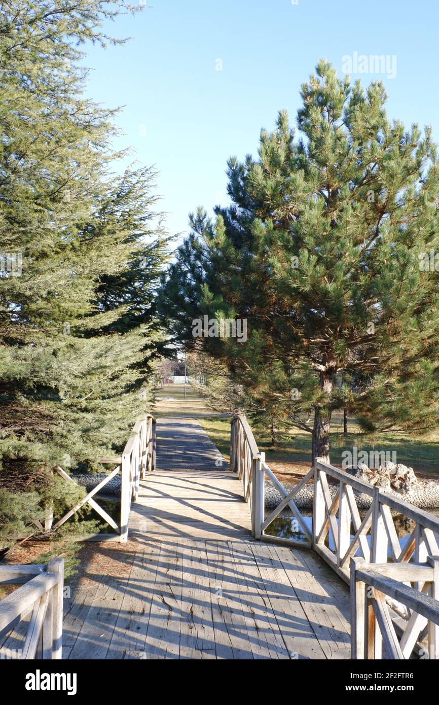 Small Wooden Bridge over River within Pine Trees Stock Photo - Alamy