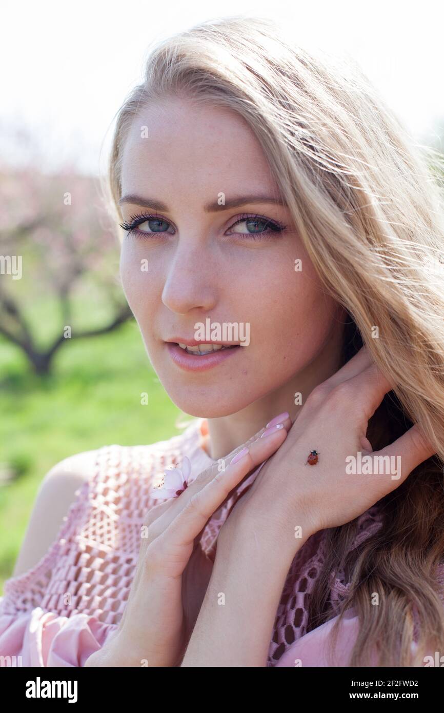 Insect ladybug on the hand of a beautiful woman in spring Stock Photo ...