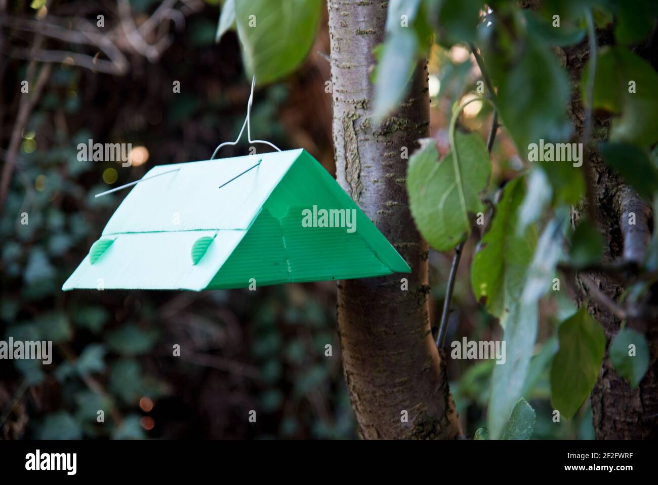 Moth trap hi-res stock photography and images - Alamy