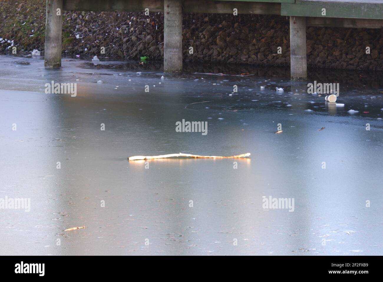 Tree floating river hi-res stock photography and images - Alamy