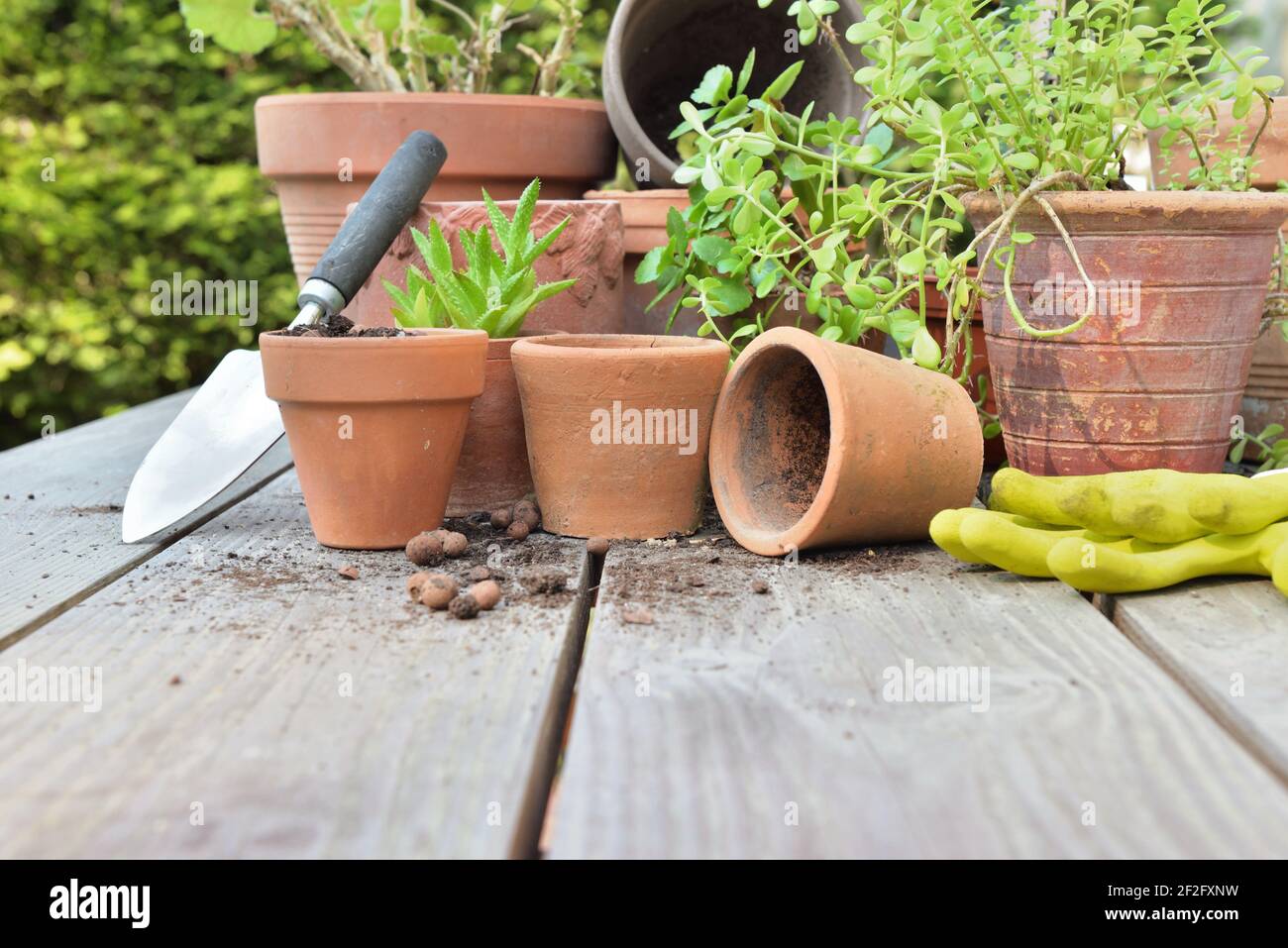 Terra cotta flower pots hi-res stock photography and images - Alamy
