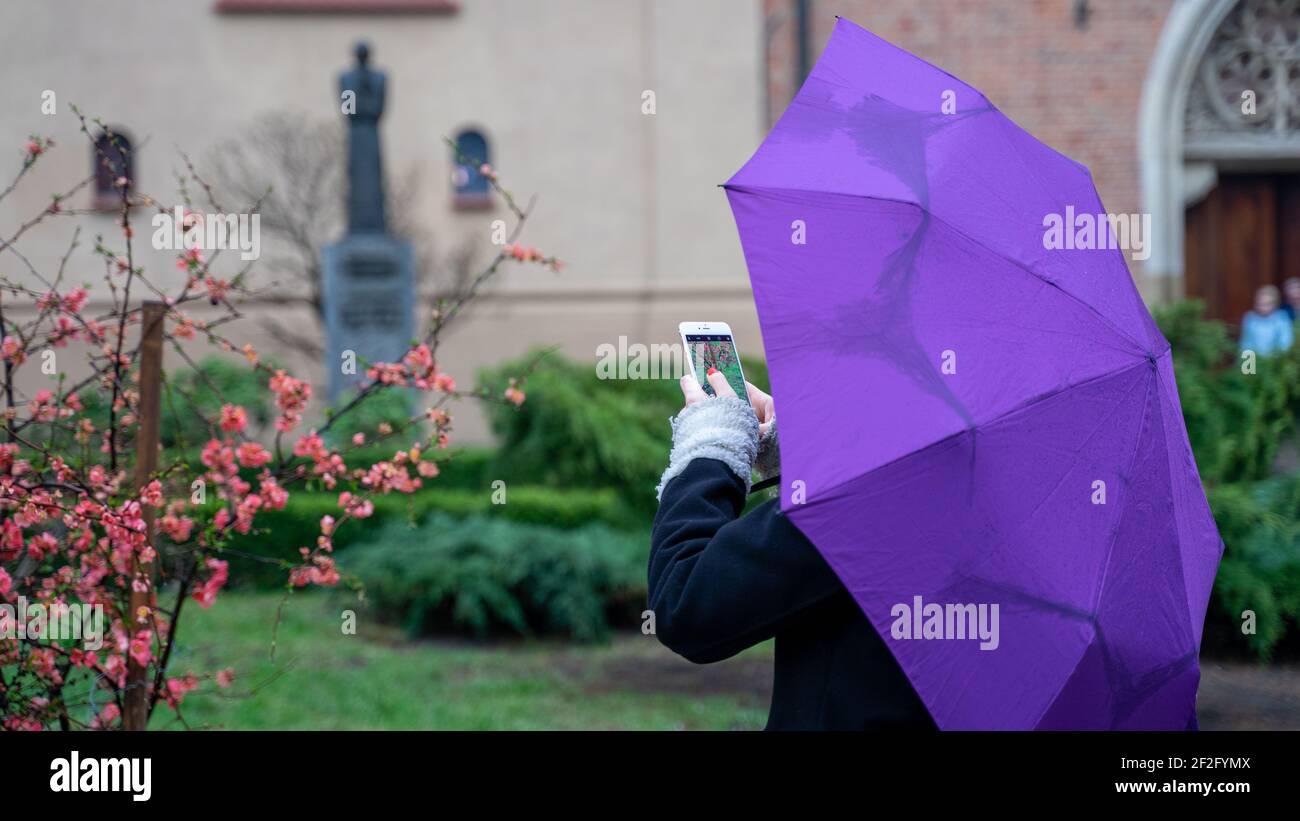 Snapping the picture hi-res stock photography and images - Alamy