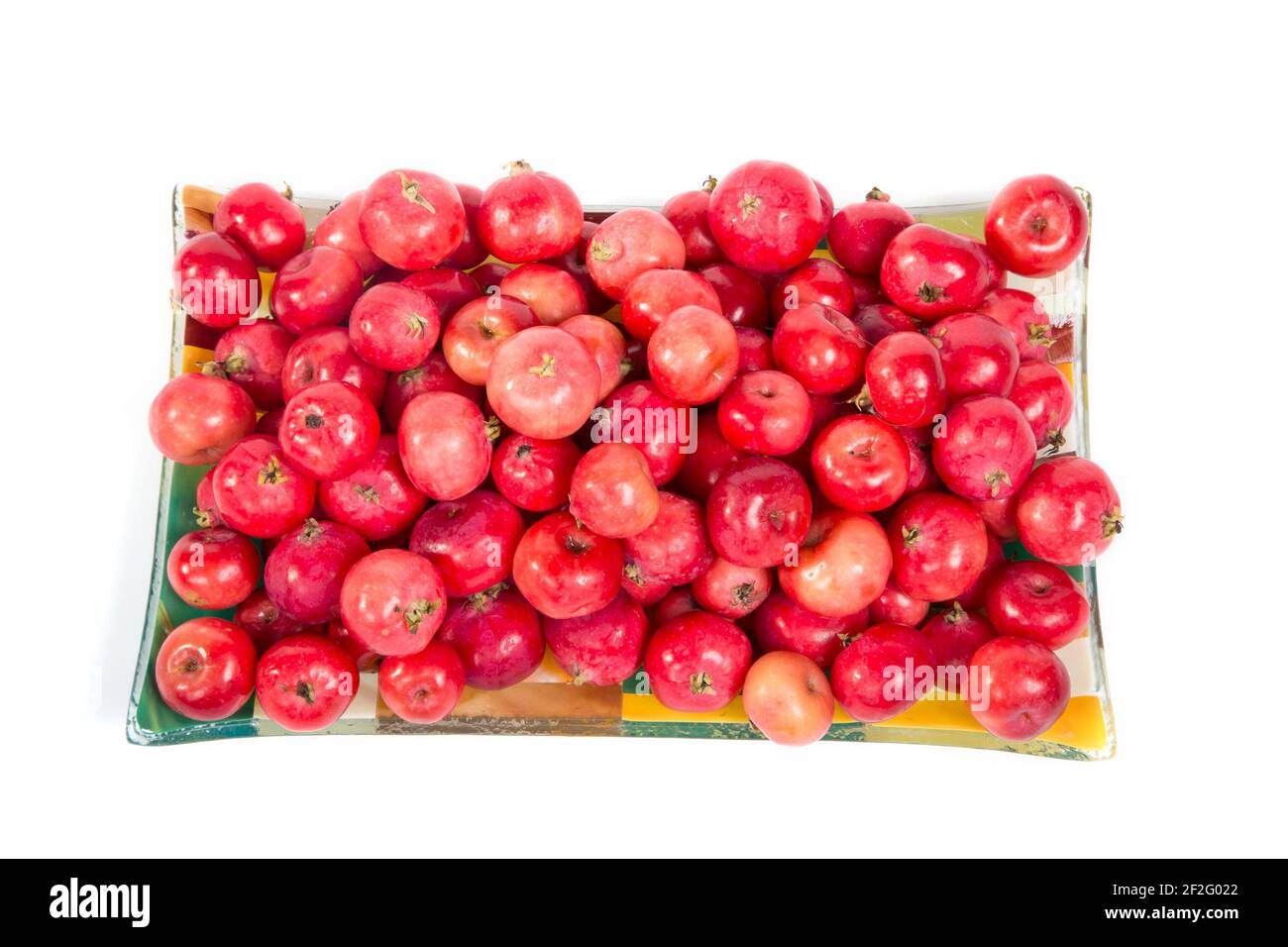 Still-life with fresh small red apples, on white background Stock Photo ...
