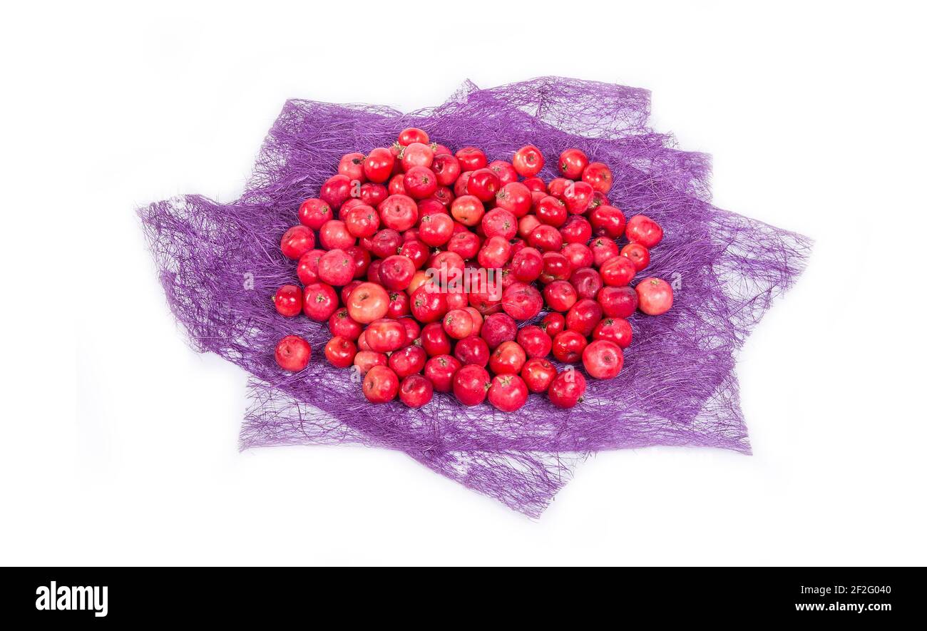 Still-life with fresh small red apples, on white background Stock Photo ...