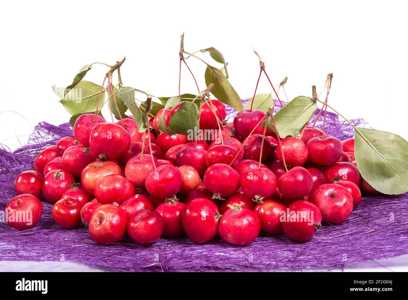 Still-life with fresh small red apples, on white background Stock Photo ...
