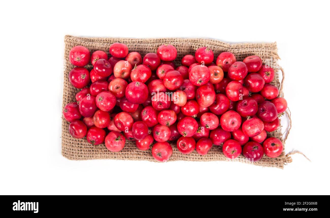 Still-life with fresh small red apples, on white background Stock Photo ...