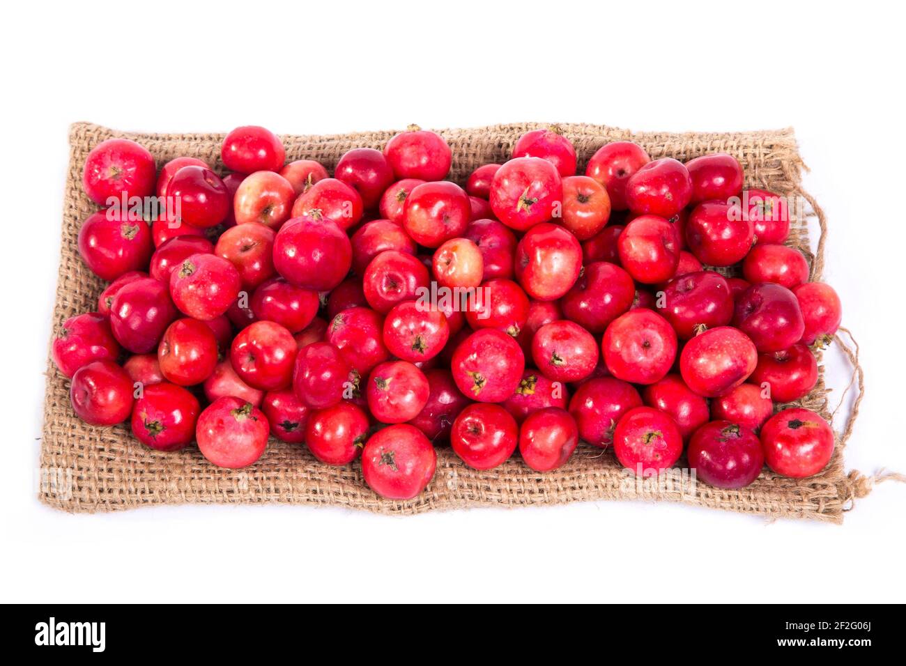 Still-life with fresh small red apples, on white background Stock Photo ...