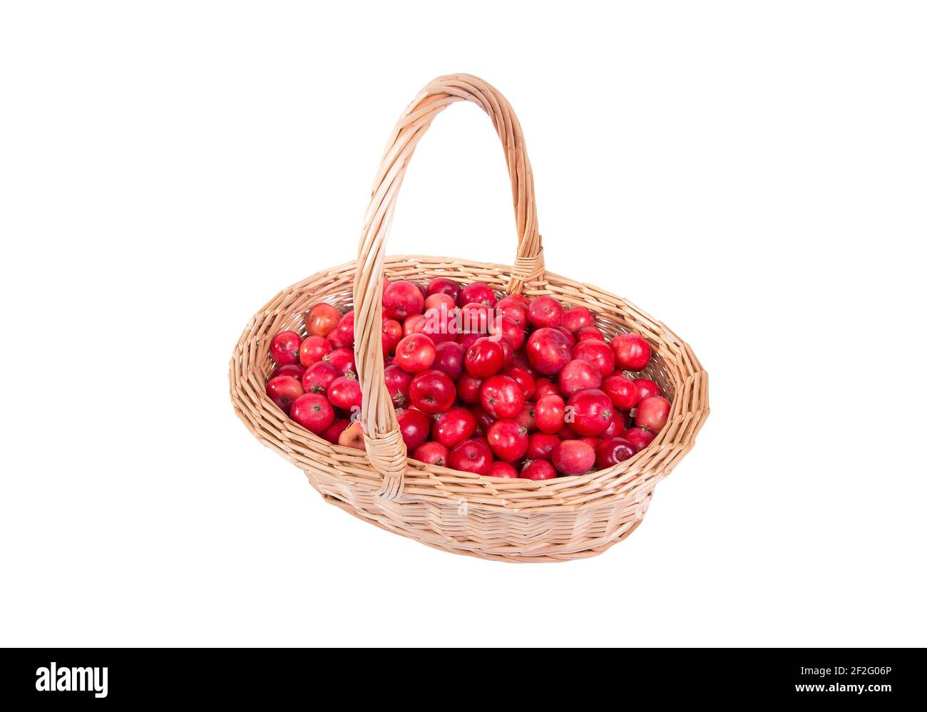 Still-life with fresh small red apples, on white background Stock Photo ...