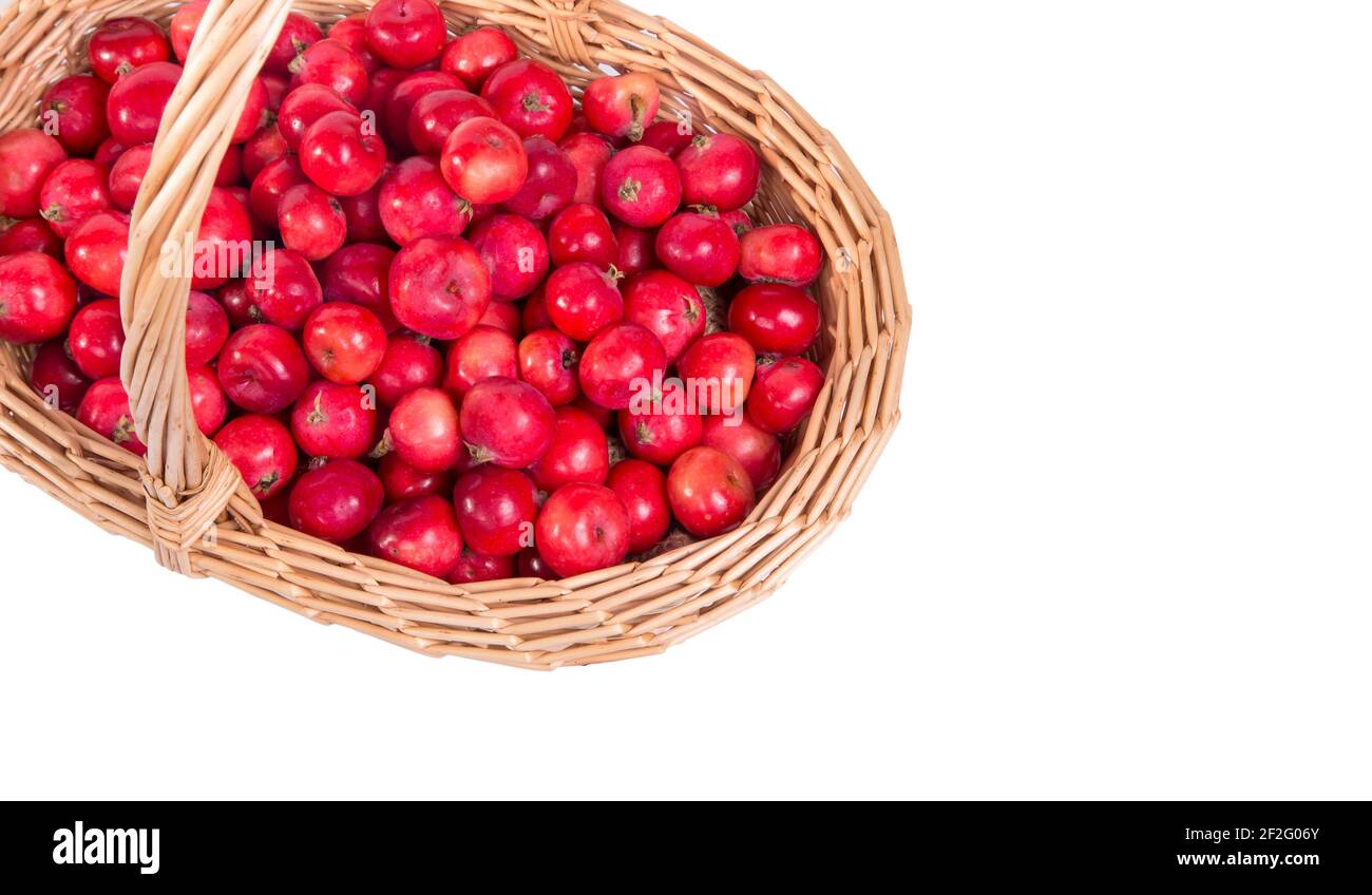Still-life with fresh small red apples, on white background Stock Photo ...