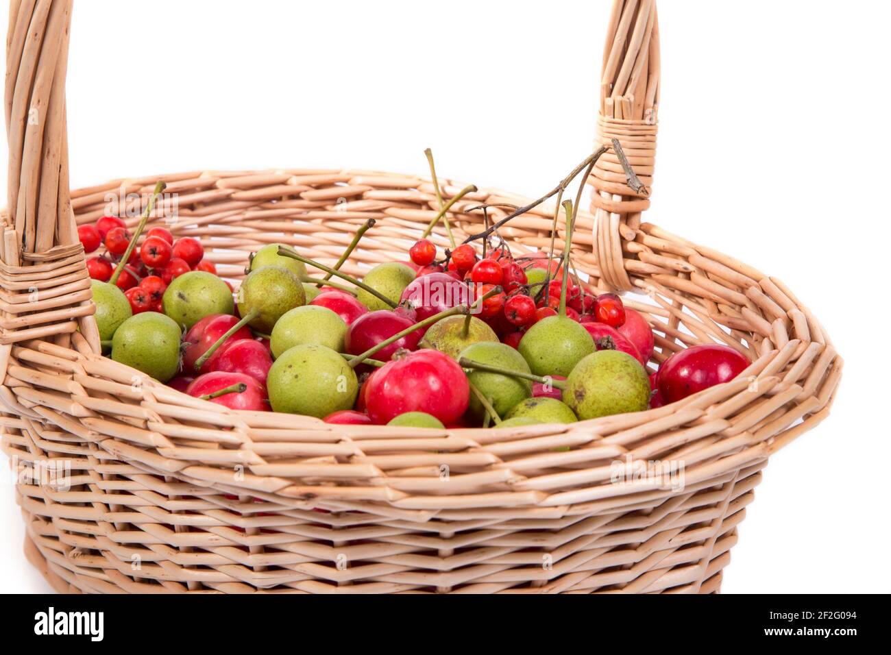Still-life with fresh small red apples, on white background Stock Photo ...