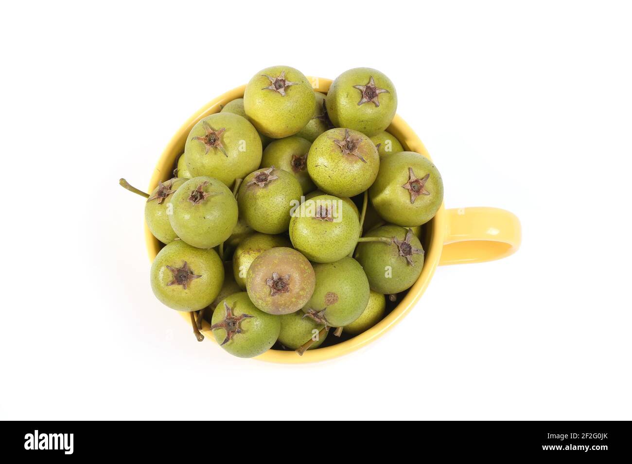 small green pears in big yellow cup, isolated on white background Stock ...