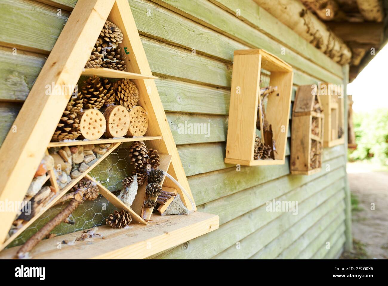 Bug houses hi-res stock photography and images - Alamy