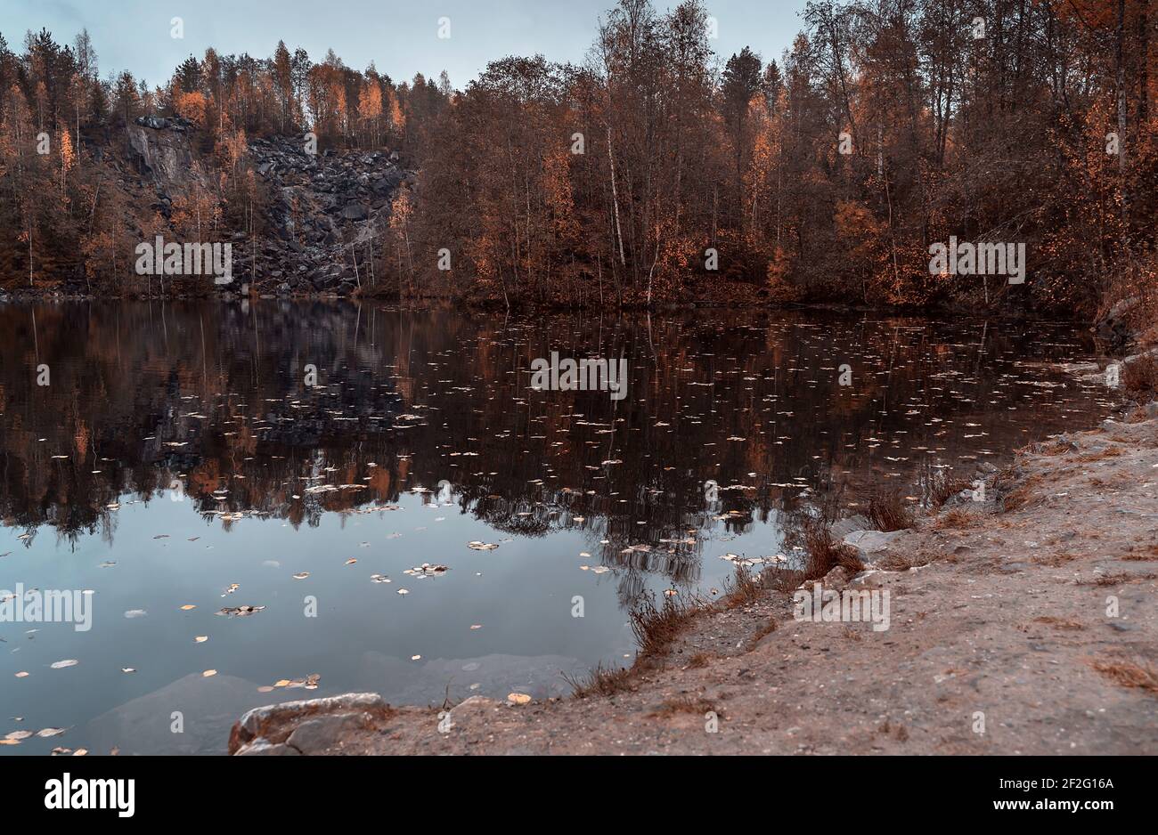 Beautiful autumn misty lake and forest wild landscape. Autumn forest ...