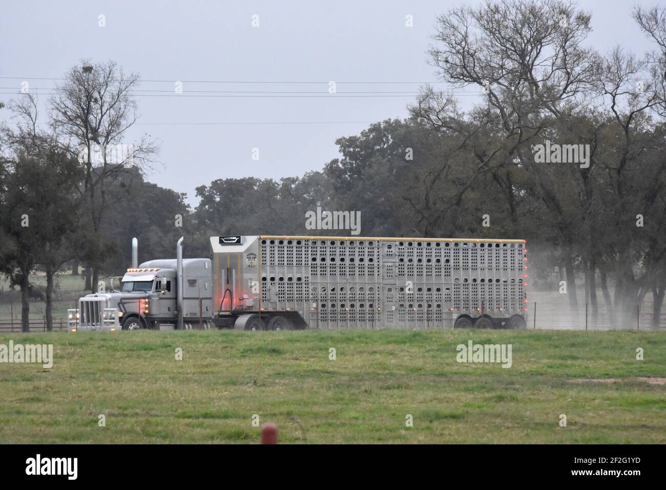 Livestock truck, 44 Ranch, Texas, USA Stock Photo - Alamy