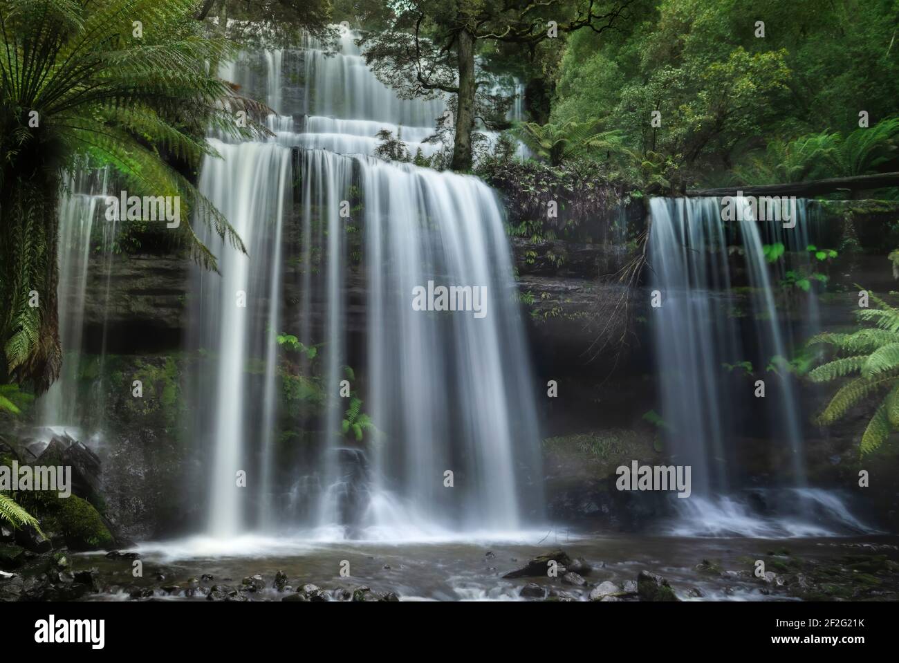 Russell Falls, Tasmania Stock Photo - Alamy