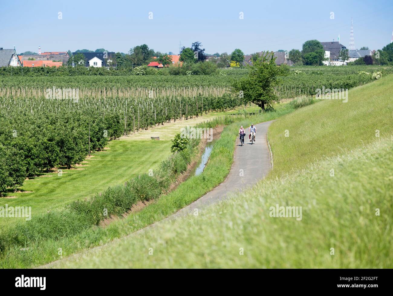 Elbe cycle route hi-res stock photography and images - Alamy