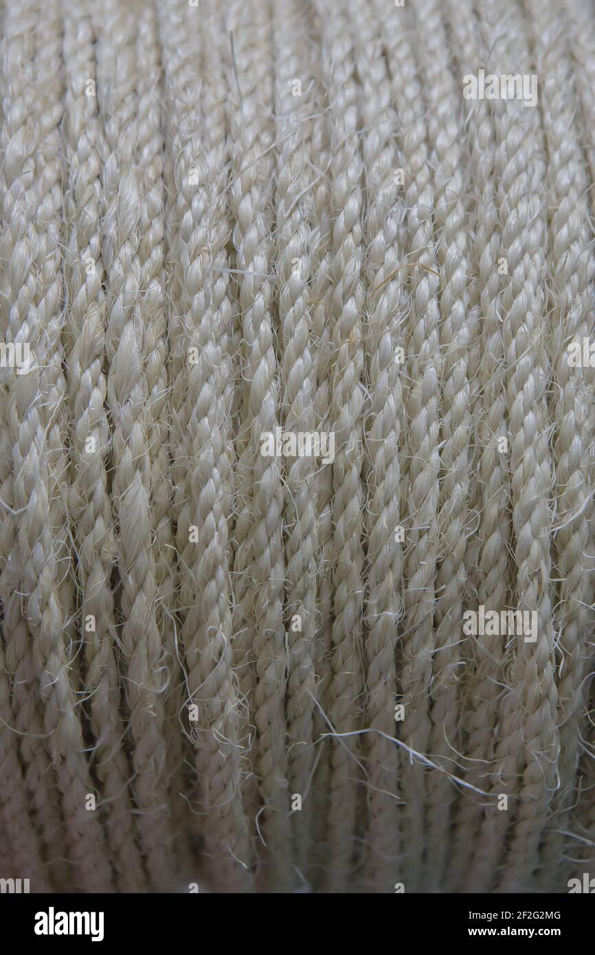 Multifilament hi-res stock photography and images - Alamy