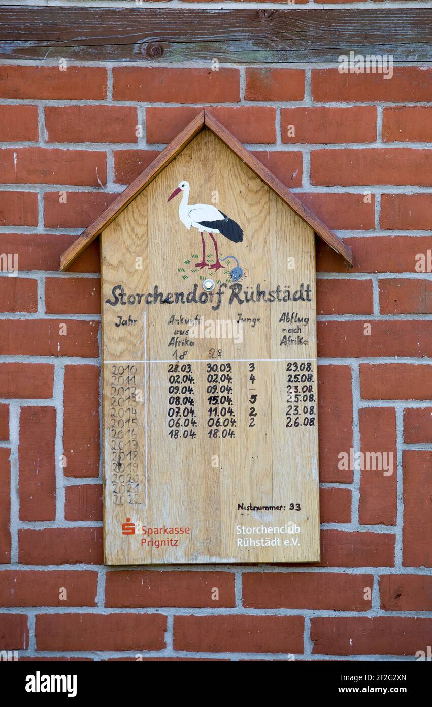 Nesting count of the storks, Ruehstaedt Stock Photo - Alamy