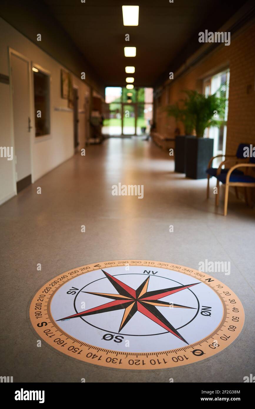 A big compass painting on the floor in a school Stock Photo - Alamy