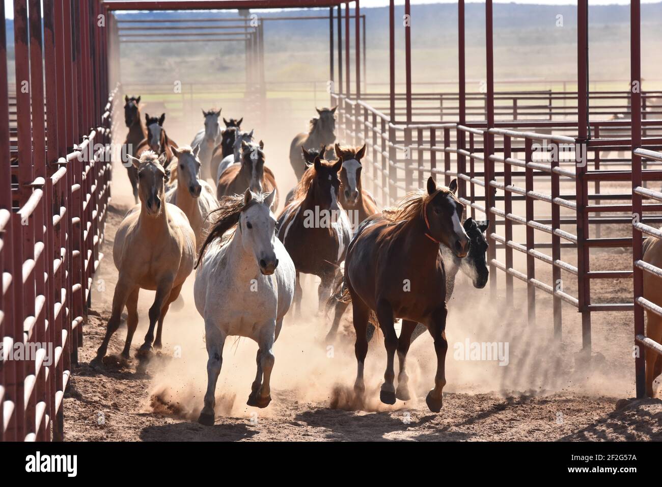 6666 ranch texas hi-res stock photography and images - Alamy