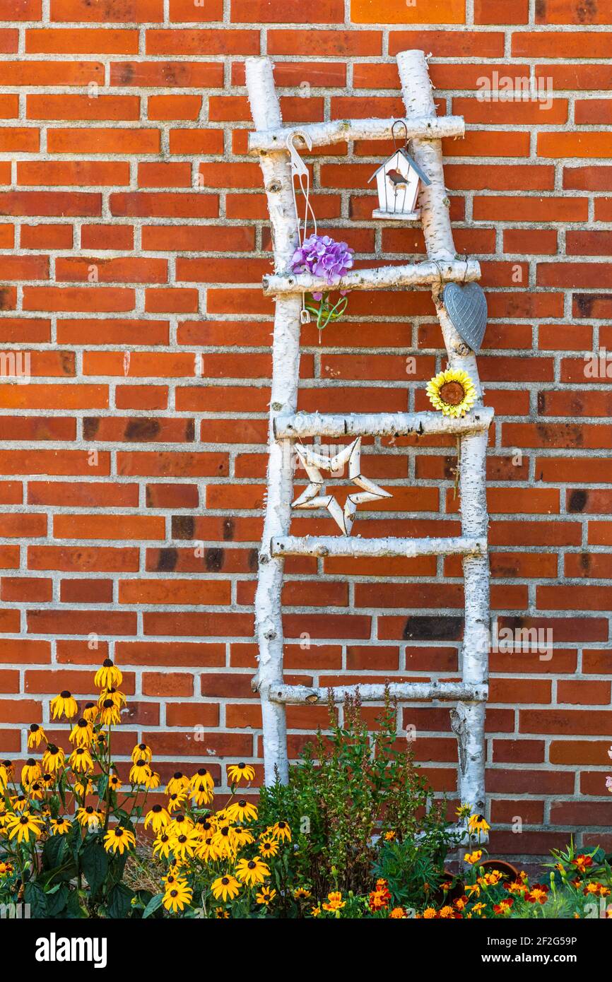Decorative ladder made of birch wood on a house wall Stock Photo - Alamy
