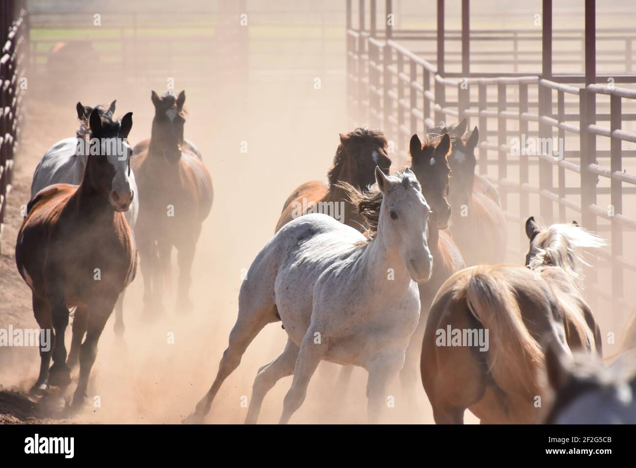 6666 ranch texas hi-res stock photography and images - Alamy